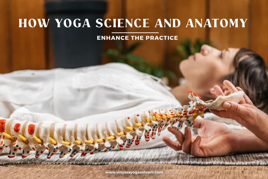 How Yoga Science and Anatomy Enhance The Practice?
