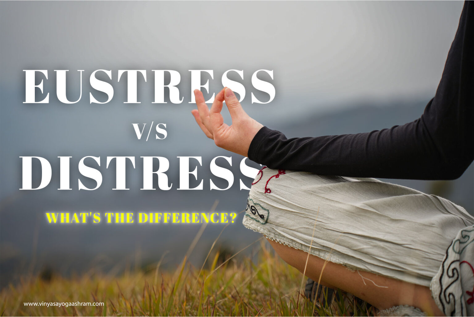 Eustress vs Distress: What's the Difference?